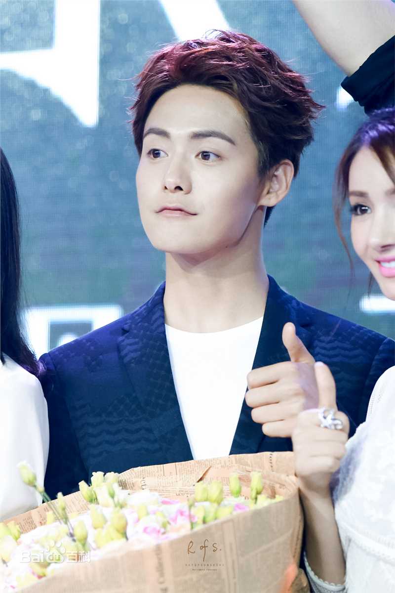 马天宇(Ray Ma)幻城之夜开播发布会及开播晚会性感图片图集-万佳直播吧