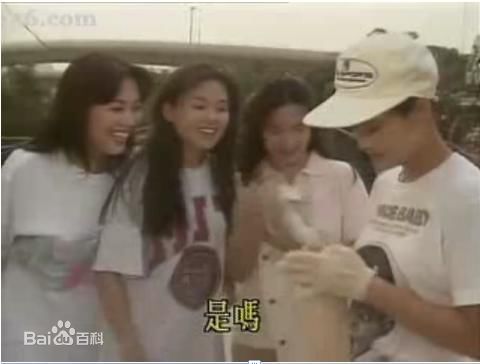 杨羚(Carol Yeung)剧照-杨羚(Carol Yeung)最优质剧照-万佳直播吧