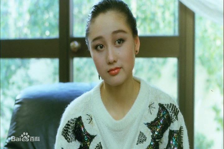 利智(Nina Li)出演作品性感图片图集-万佳直播吧