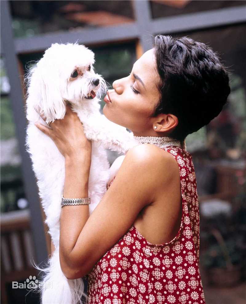 哈莉·贝瑞(Halle Berry)精彩图册-最优质哈莉·贝瑞(Halle Berry)精彩图册-万佳直播吧