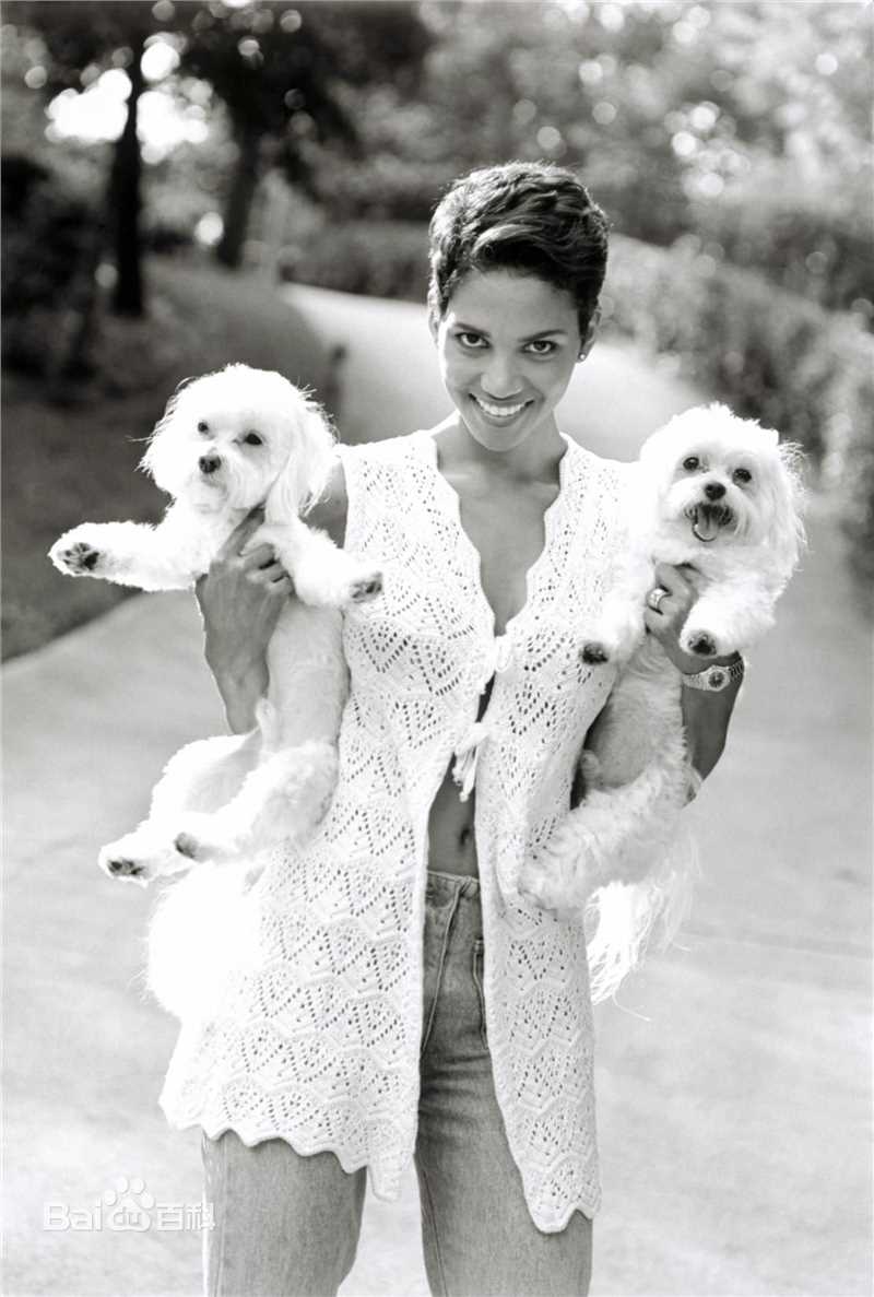 哈莉·贝瑞(Halle Berry)精彩图册-最优质哈莉·贝瑞(Halle Berry)精彩图册-万佳直播吧