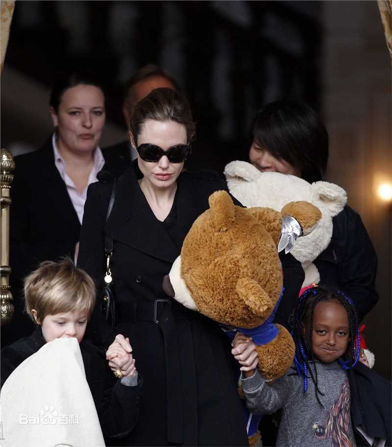 安吉丽娜·朱莉(Angelina Jolie)精彩图册-最优质安吉丽娜·朱莉(Angelina Jolie)精彩图册-万佳直播吧