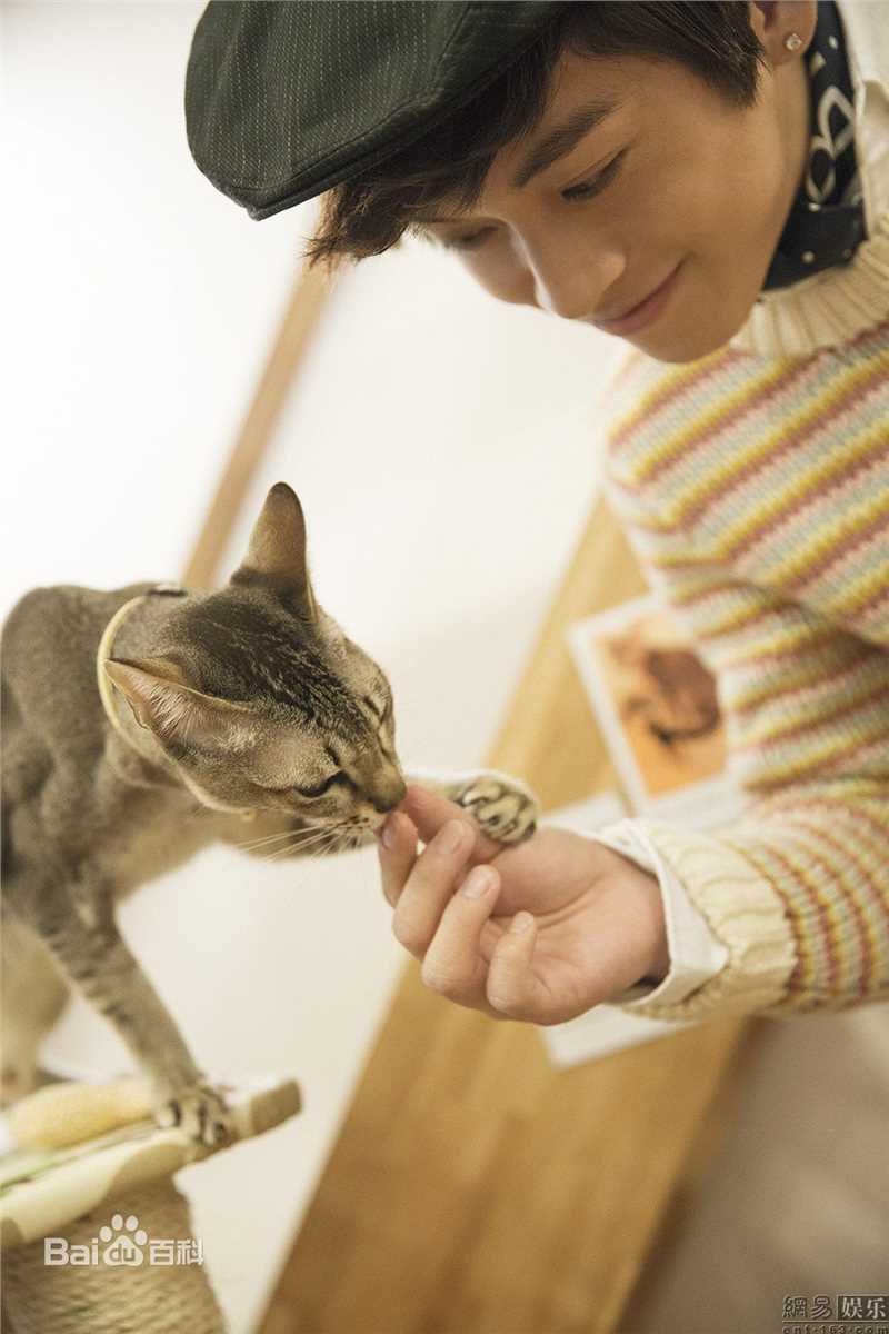 武艺(Philip Wu/Philip Lau)在《别太想我哦！东瀛纪行/关西篇》中的-万佳直播吧