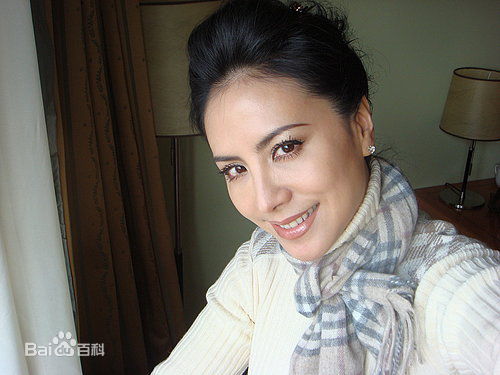 田丽(Lily Tien)参加活动照性感图片图集-万佳直播吧