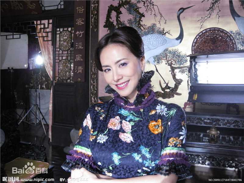 田丽(Lily Tien)《再见艳阳天》高清剧照-万佳直播吧