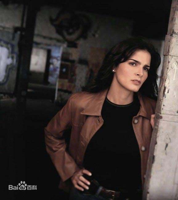 安吉·哈蒙英(Angie Harmon)安吉·哈蒙图册壁纸壁纸-万佳直播吧