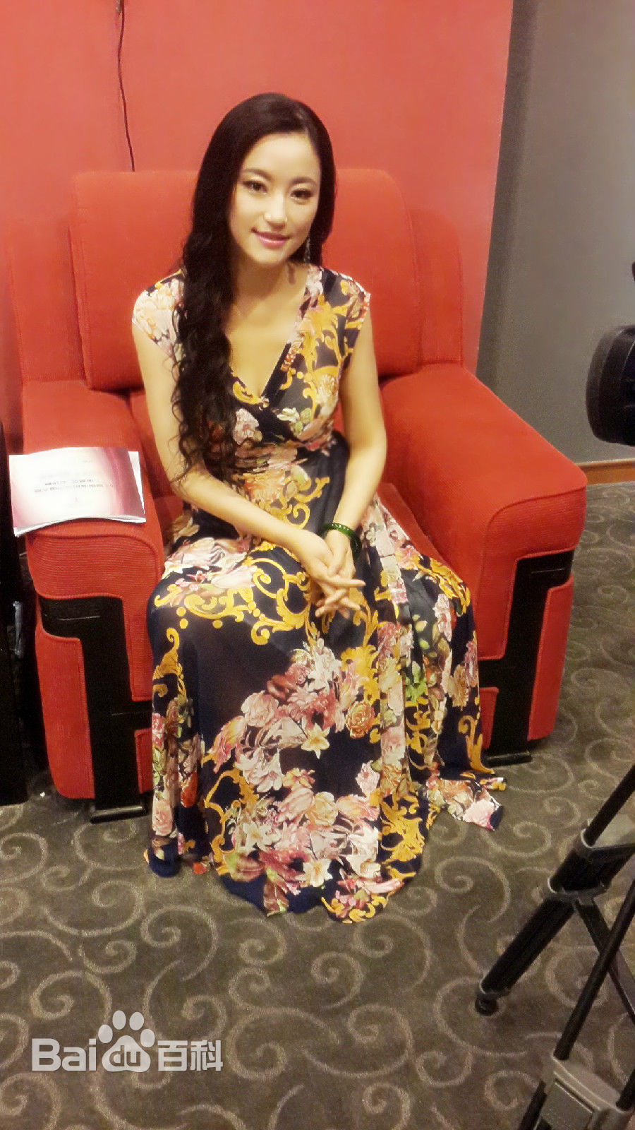 袁满PPTV聚力采访-图册-万佳直播吧