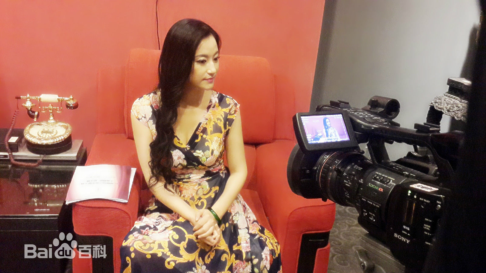 袁满PPTV聚力采访-图册-万佳直播吧