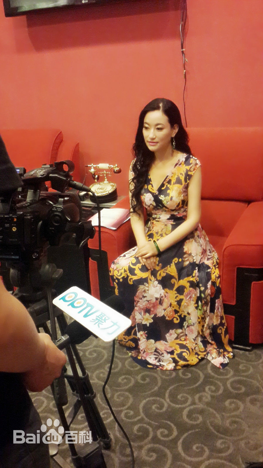 袁满PPTV聚力采访-图册-万佳直播吧