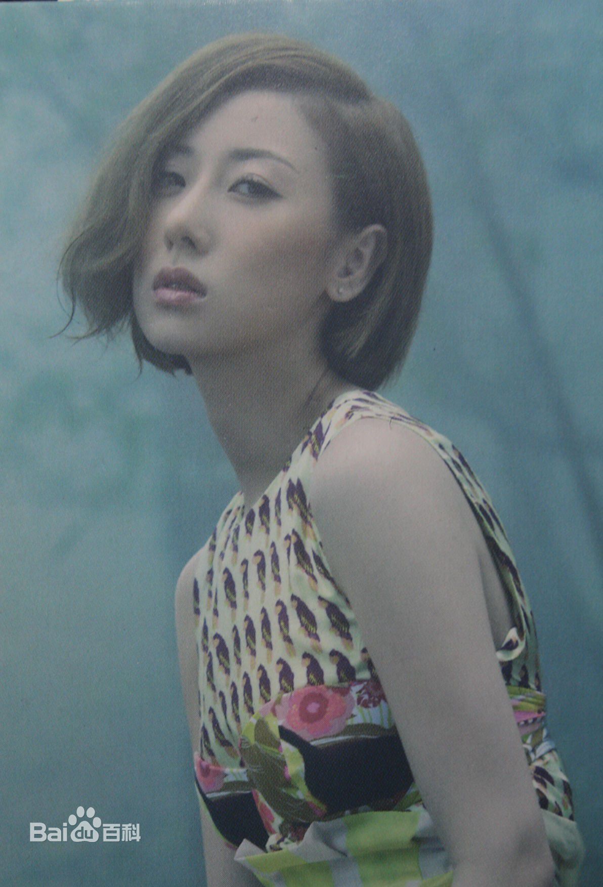 泳儿(Vincy Chan)-万佳直播吧