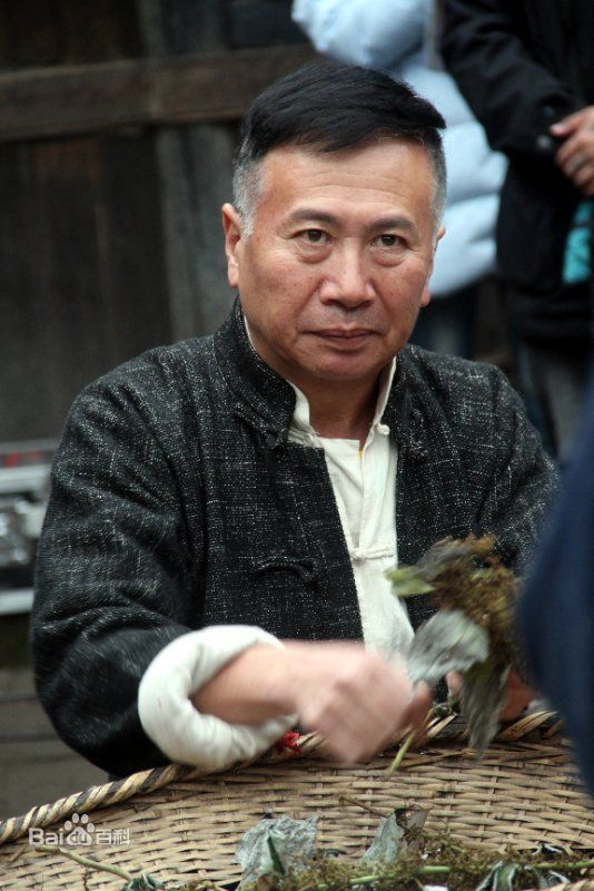 最全张志伟(Zhang Zhiwei)壁纸-万佳直播吧