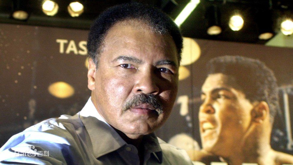 最全杰弗里·怀特(Jeffrey Wright)壁纸-万佳直播吧