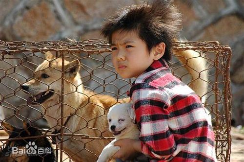 原岛大地(Daichi Harashima、はらしま だいち)《谁怜天下父母心》剧照-原岛大地(Daichi Harashima、はらしま だ ...