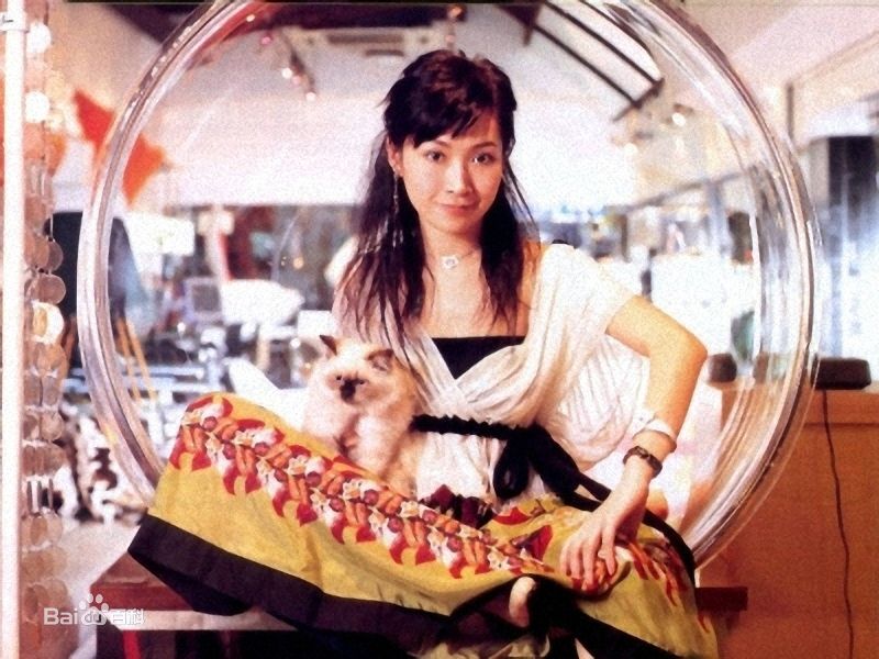 关心妍(Jade Kwan)精彩图册-最优质关心妍(Jade Kwan)精彩图册-万佳直播吧